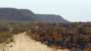 Representação do Cerrado em modelo global aprimora previsões sobre o ...